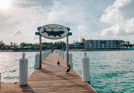 Eat + Stay + Play: Miami & The Florida Keys Travel Guide - Cathedrals ...